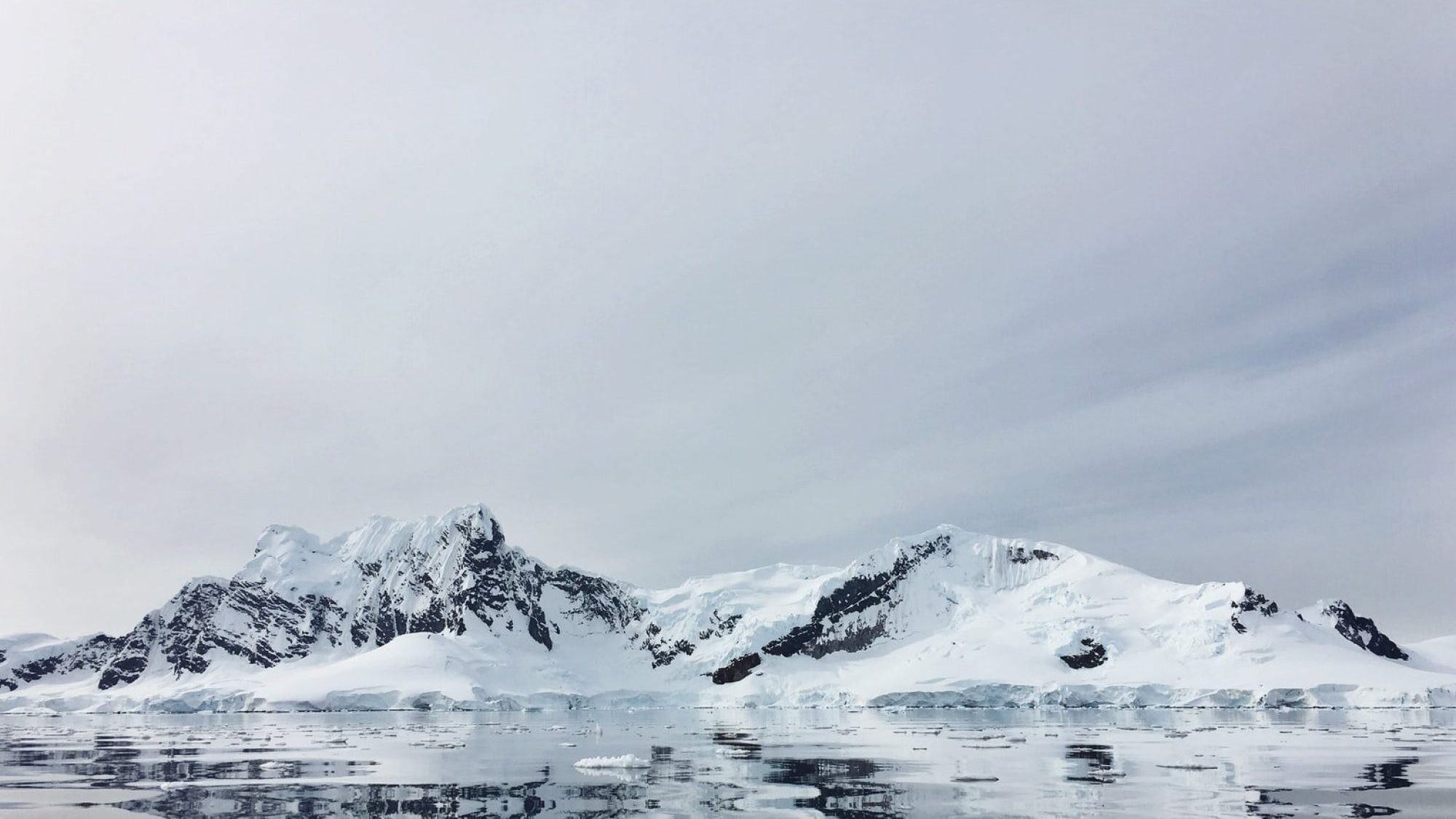 ArcticMark Diamonds – Bringing you brilliantly beautiful Canadian ...